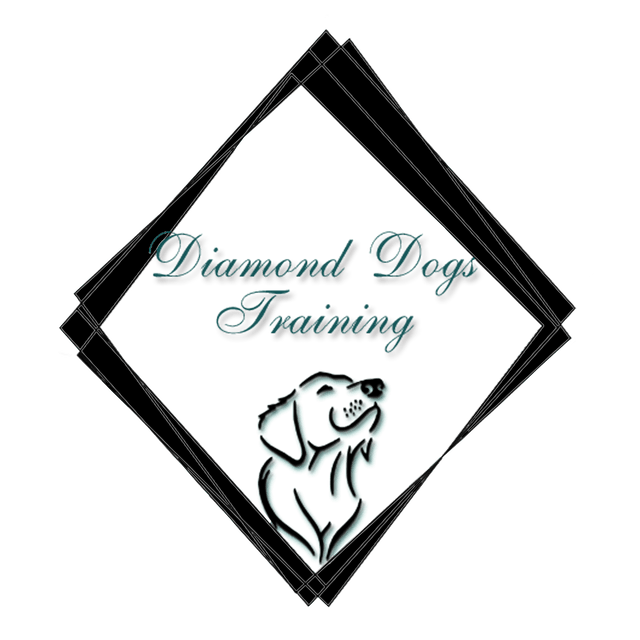 Diamond Dogs Training