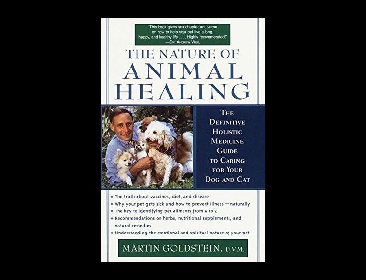 Talking about kidney disease with Martin Goldstein, D.V.M.