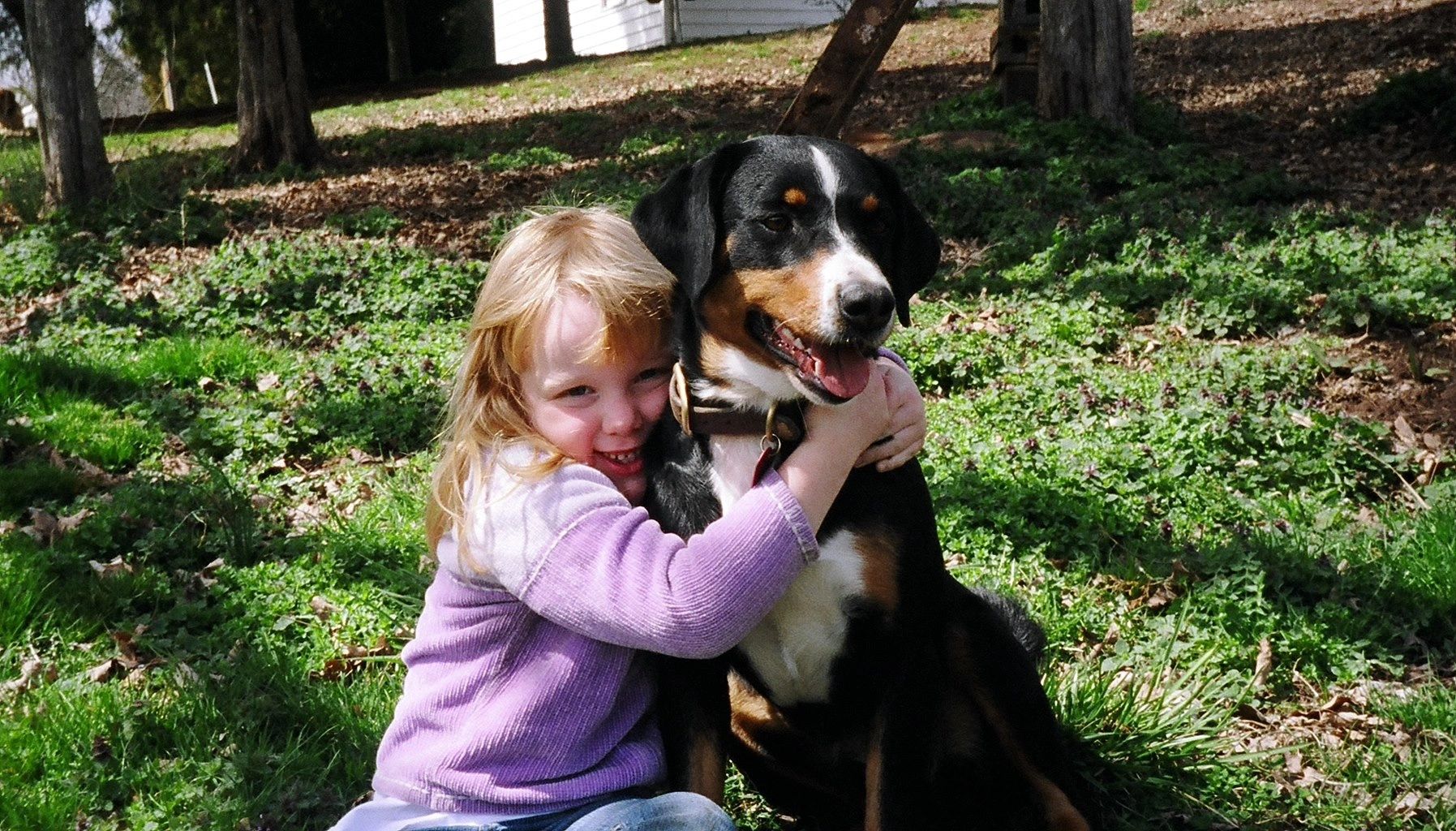 Highleigh Farm Appenzellers