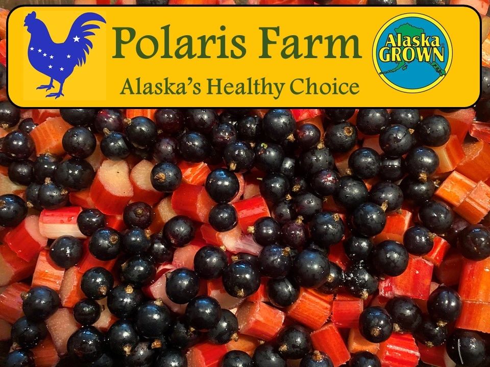 Polaris Farm - Poultry Farm, Farm, Egg Farm