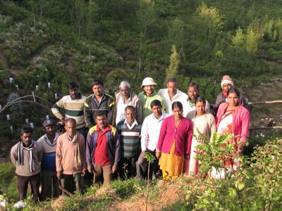 Shola Forests | Upstream Ecology