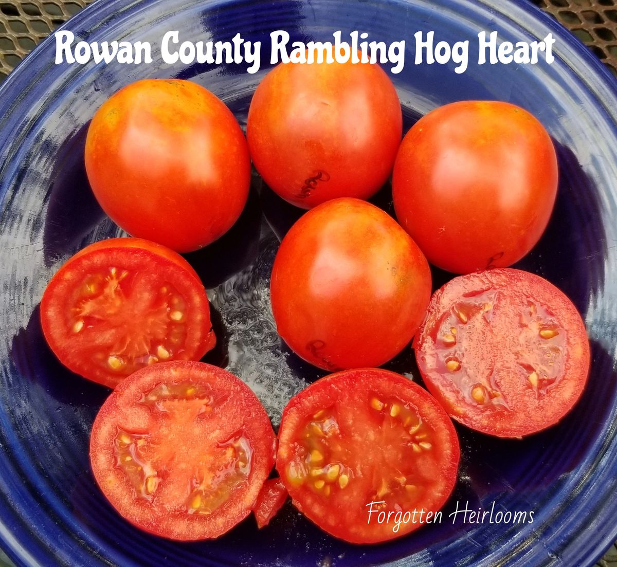 Rowan County Rambling Hog Heart