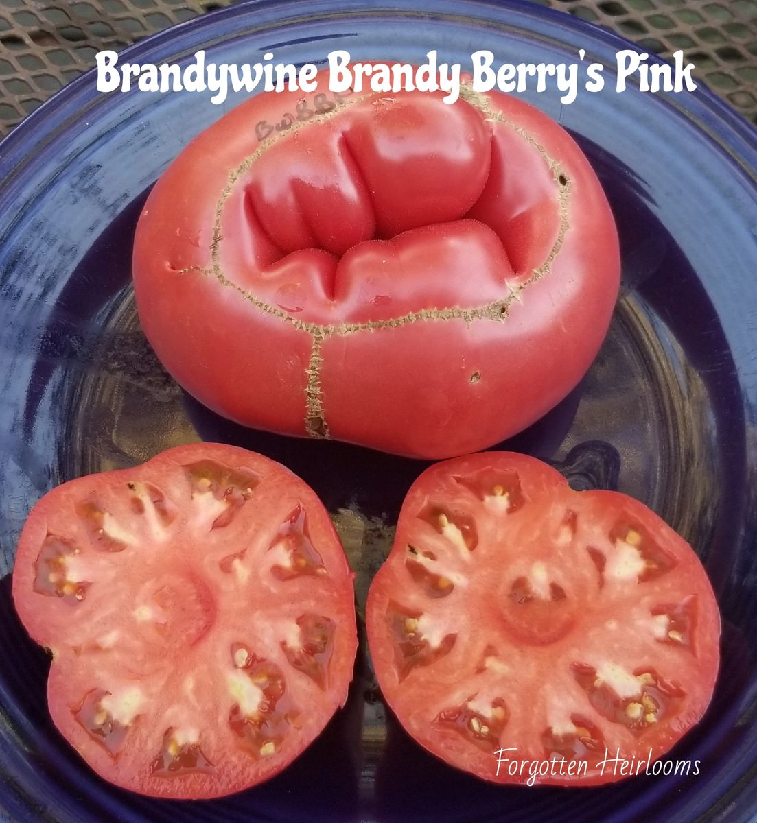 Brandywine Brandyberry's Pink