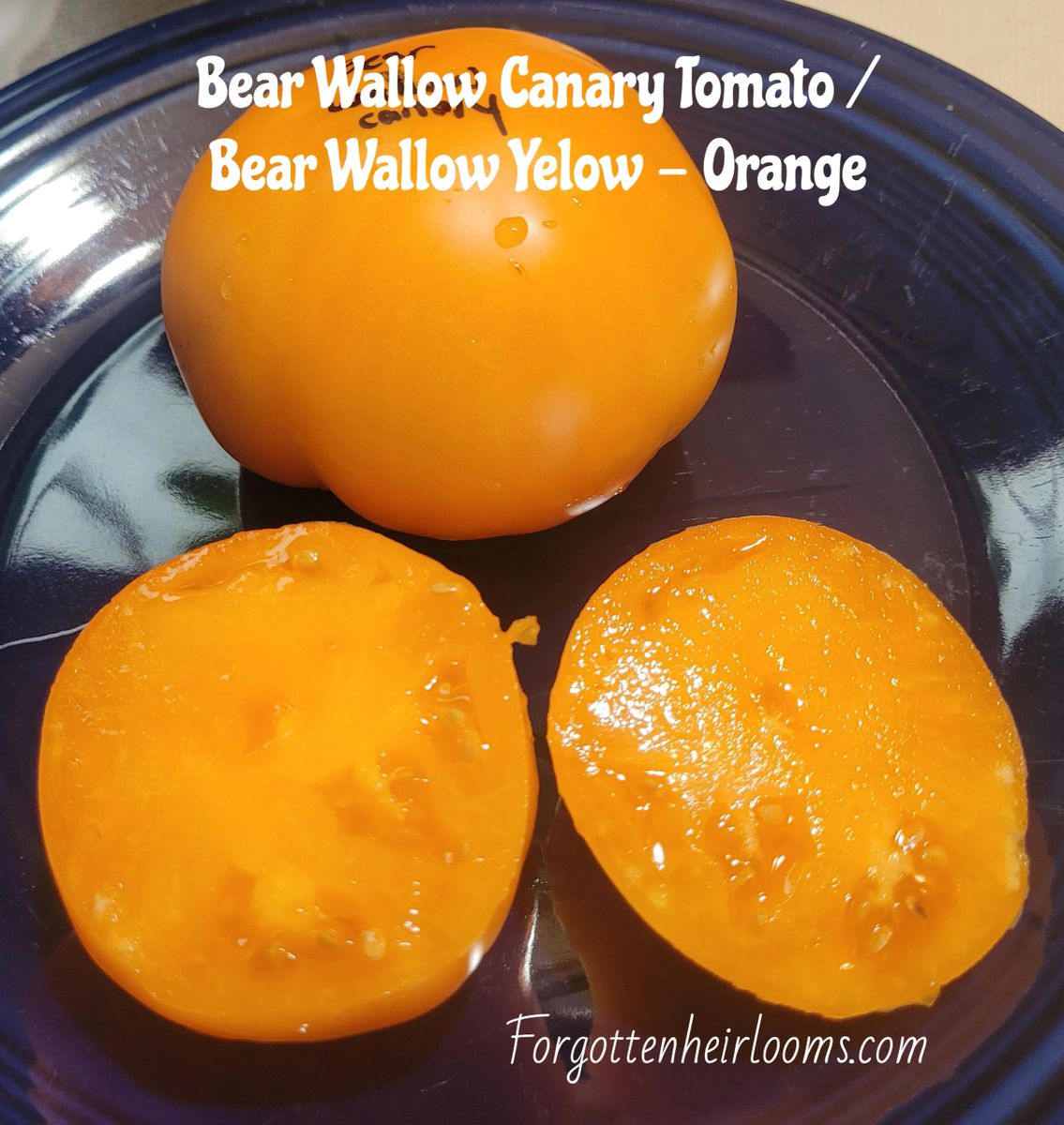 Bear Wallow Canary / Bear Wallow Yellow - Orange