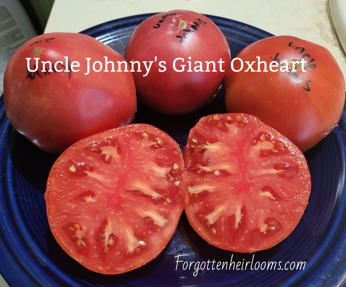 Uncle Johnny's Giant Italian Oxheart
