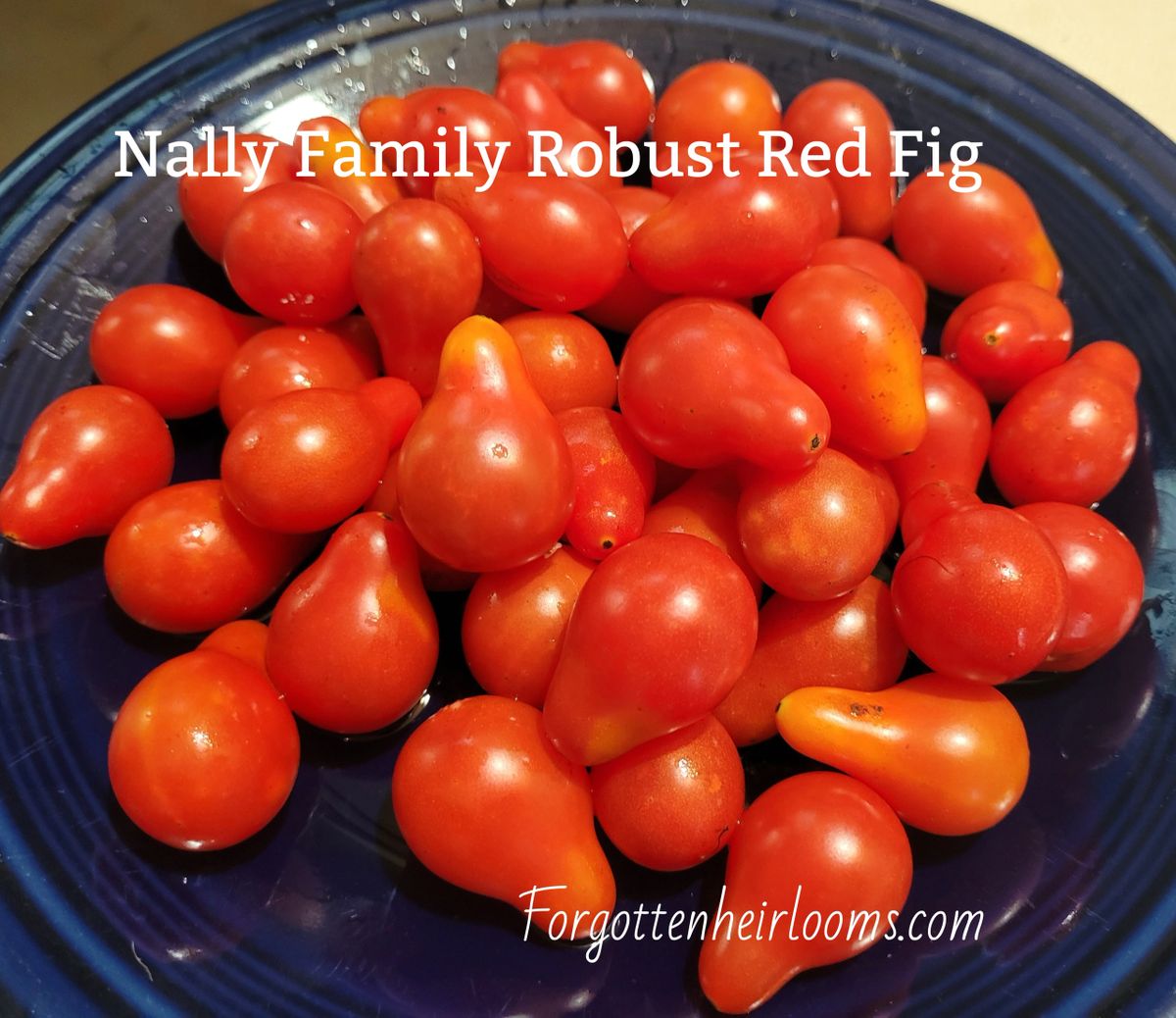 Nally Family Robust Red Fig