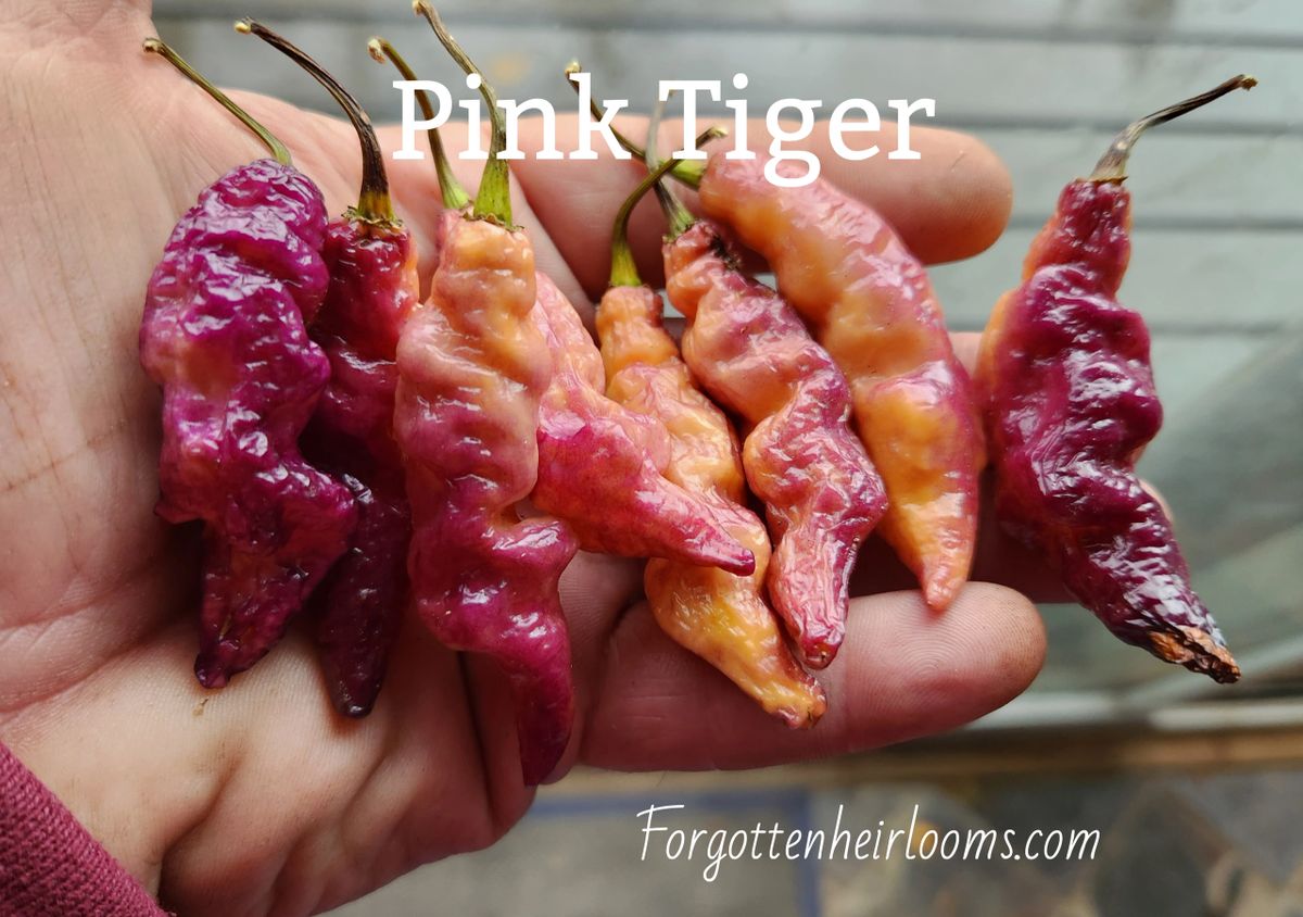 OFFICIAL ARFCOM Hot Pepper Thread - Page 3 - AR15.COM