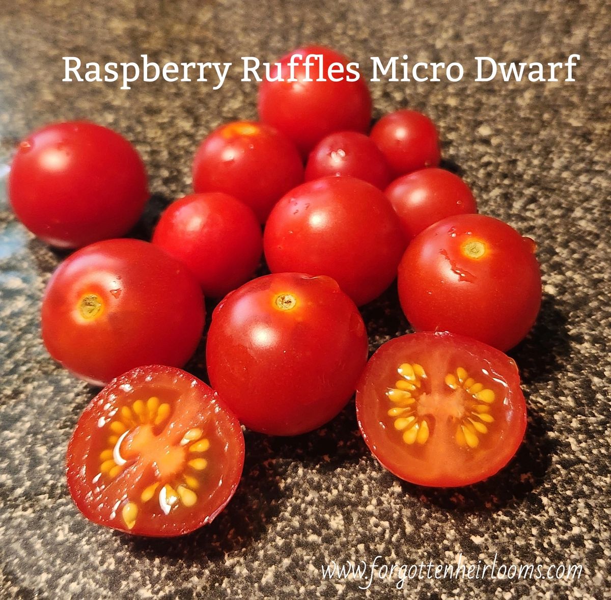 MIcro Dwarf Raspberry Ruffles