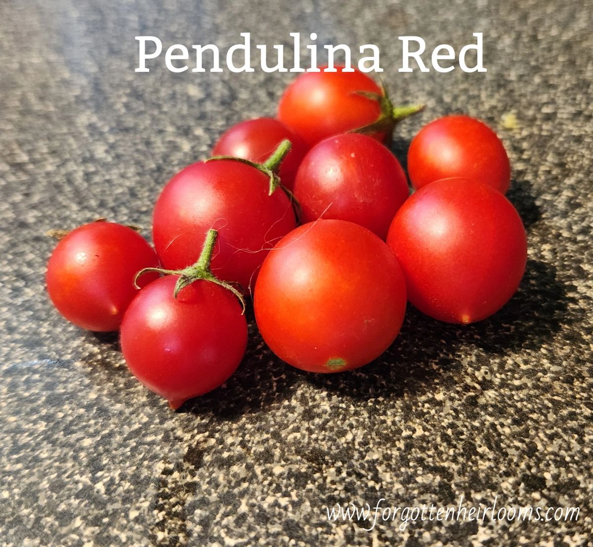 Pendulina Red