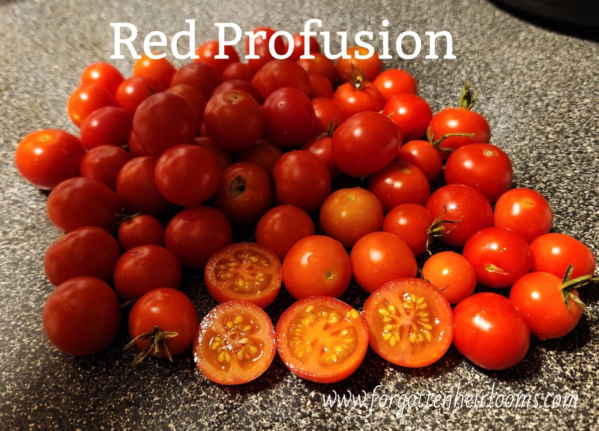 Red Profusion