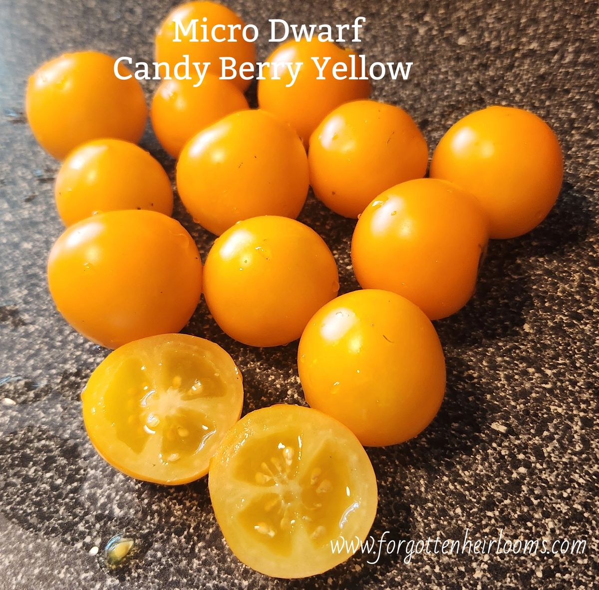 Micro Dwarf Candy Berry Yellow F3