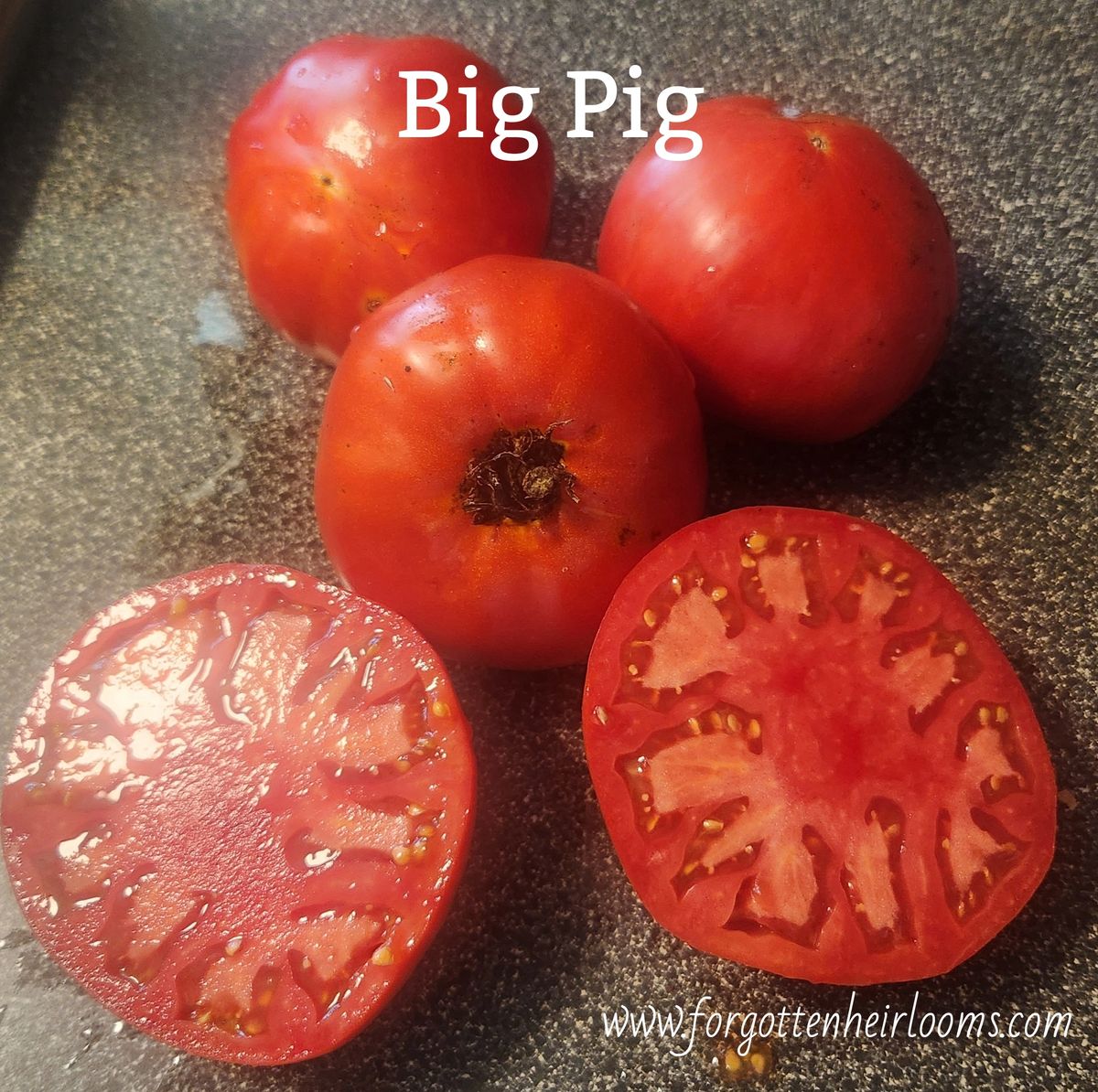 Big Pig Tomato