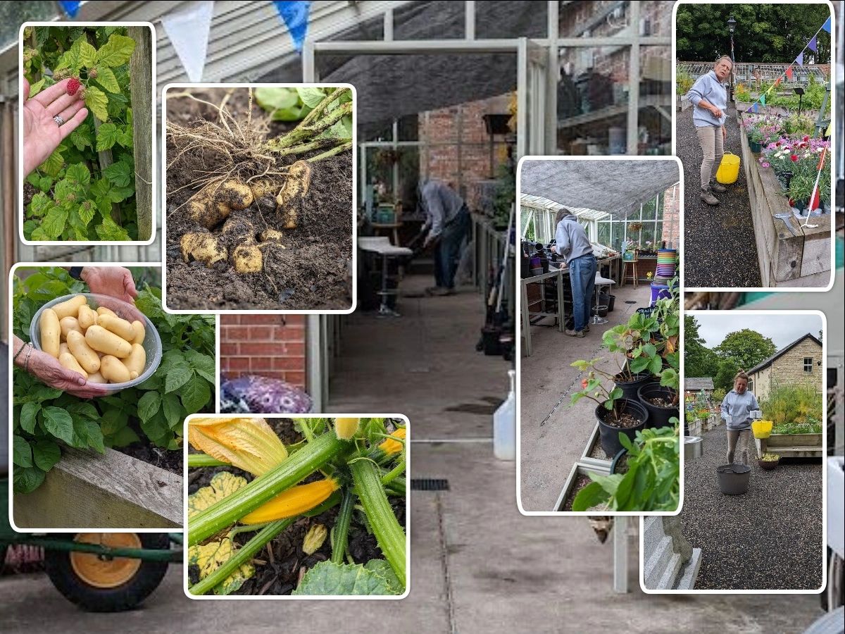 Wednesday .... Zen-sday