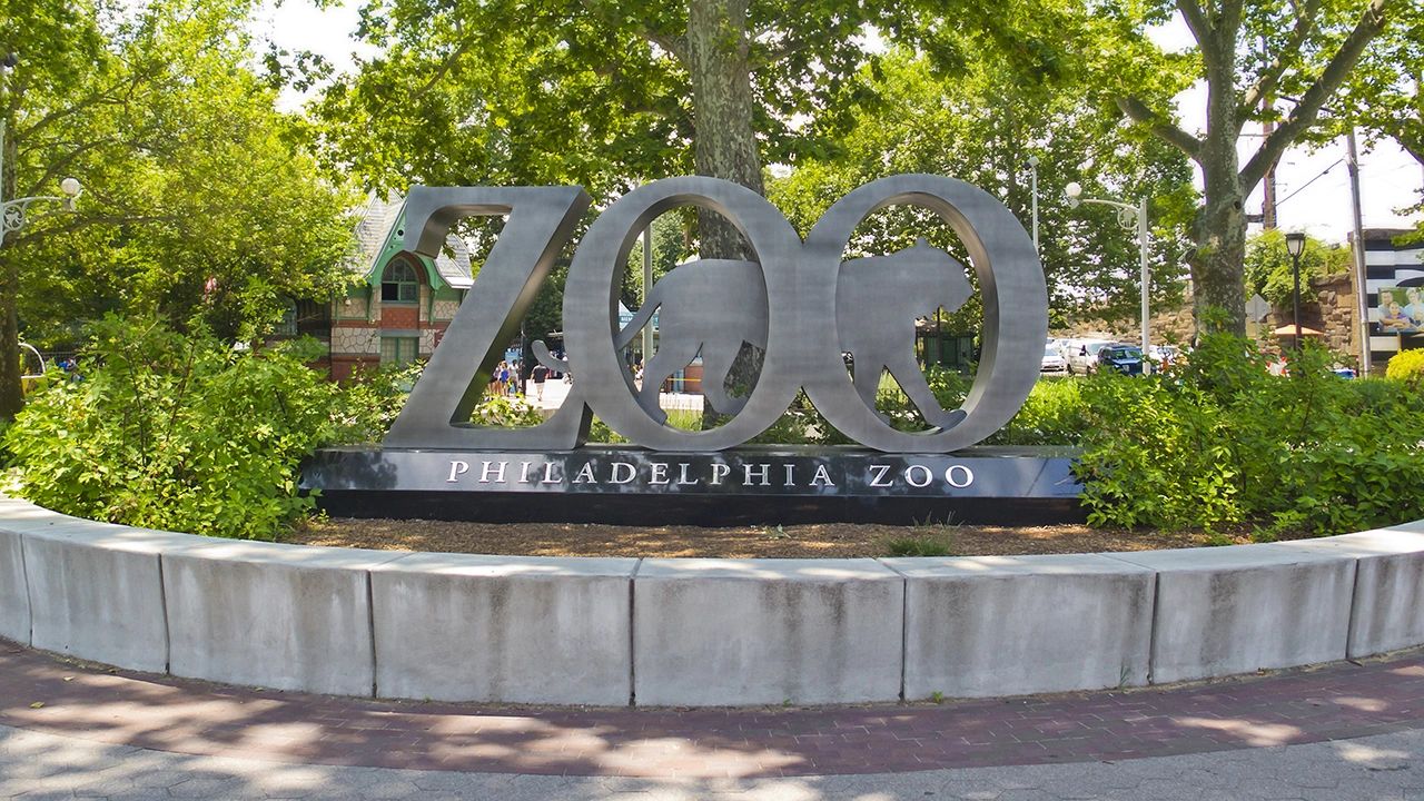 What To See At Philadelphia Zoo