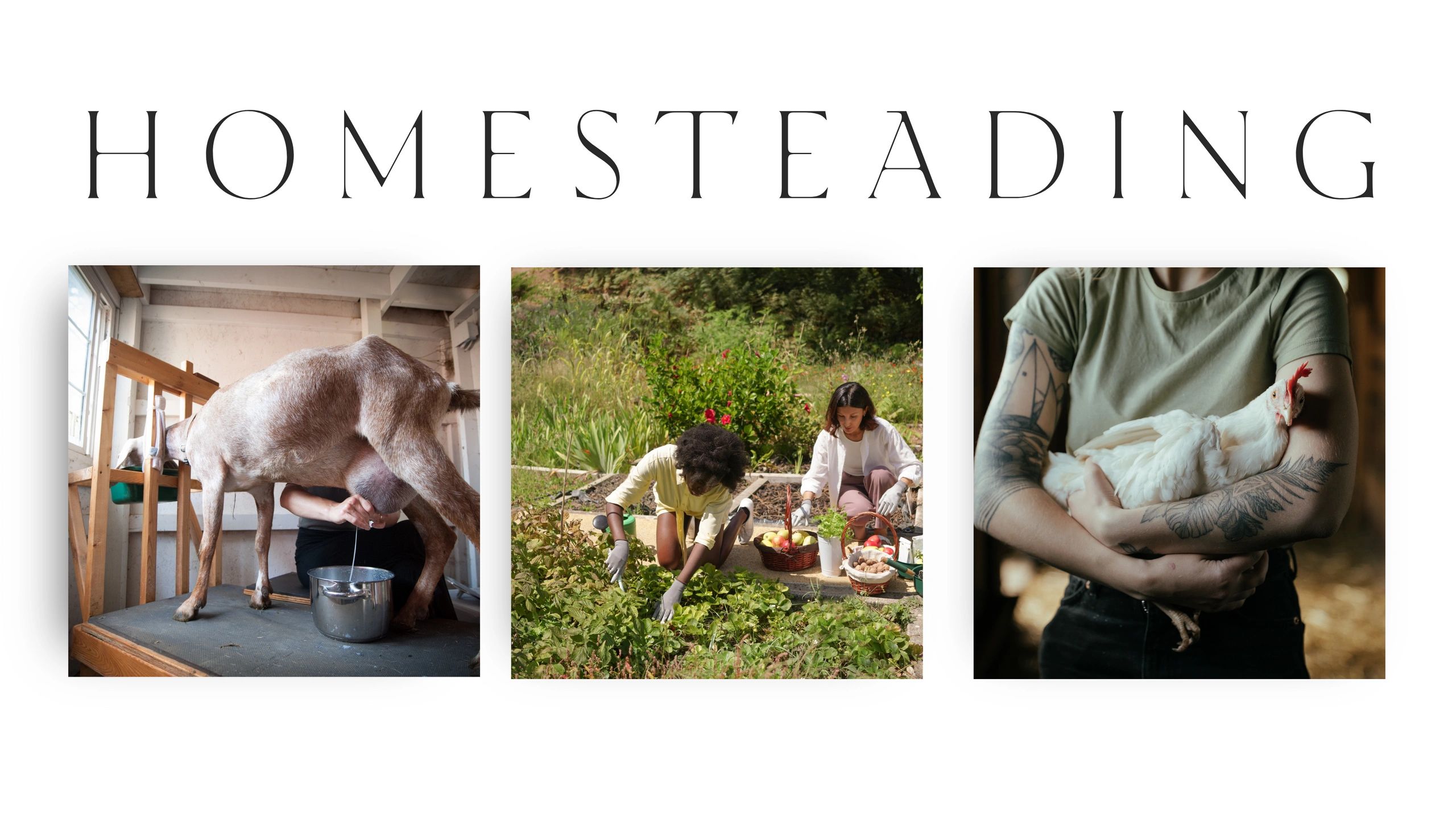 Homesteading: What It Is and Why It's Becoming So Popular