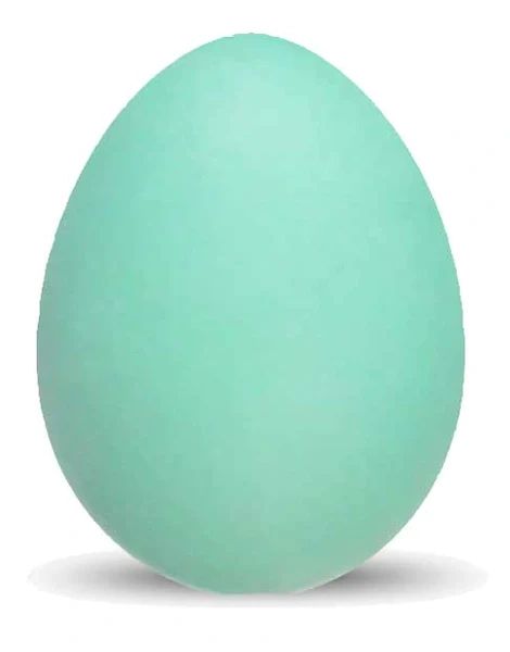 The Teal Egg