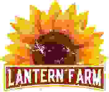 Lantern Farm - Christmas Trees, Corn Maze, Pumpkin Patch | Lantern Farm