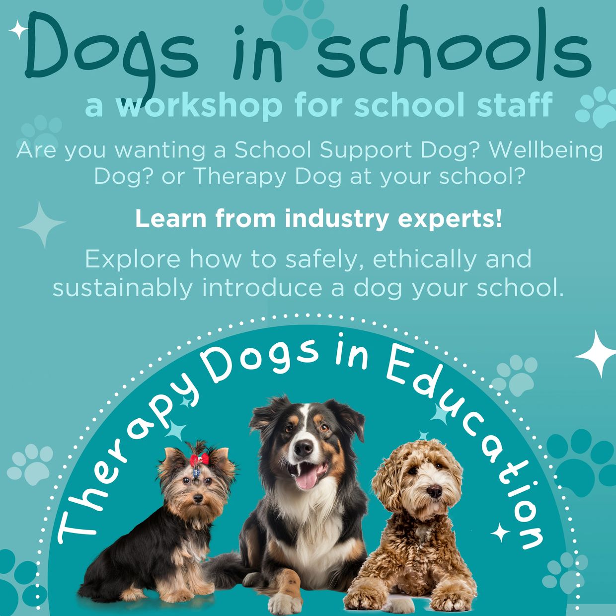 Therapy Dogs in Education - Therapy Dog Certificate, School Therapy Dog ...