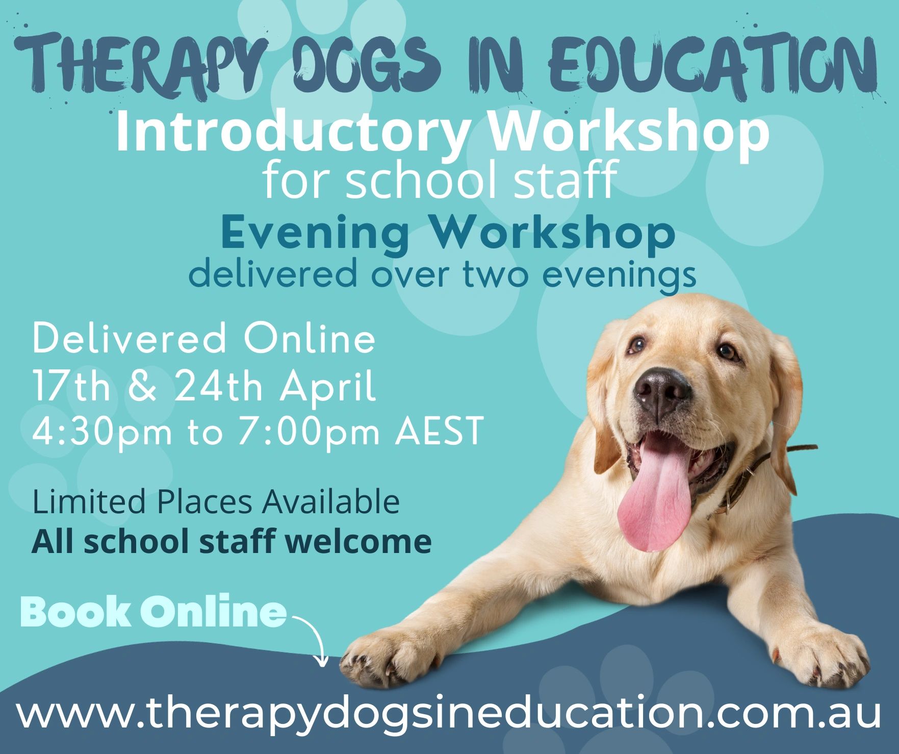 Introduction to Therapy Dogs in Schools - Online Workshop - EVENING ...