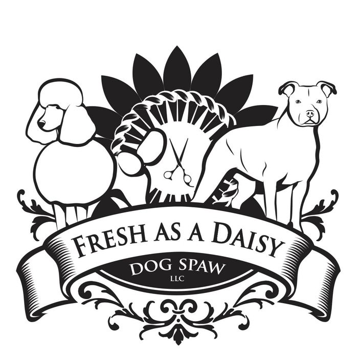 Fresh as a Daisy Dog Spaw