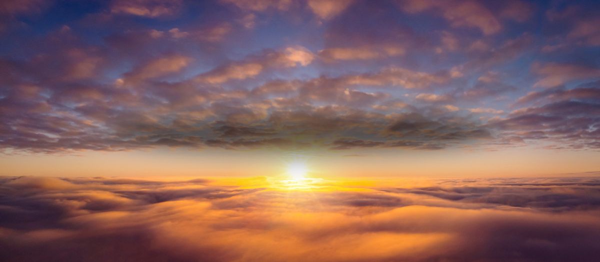 Poster Prints - Extra Large