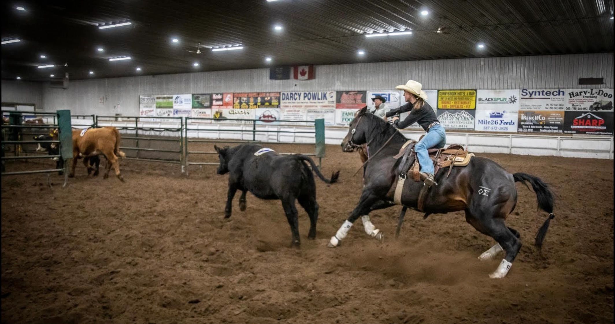 ATCPS - Team Penning and Cattle Penning | Cowhorse