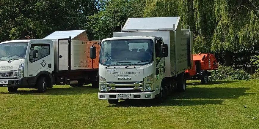 Tree Surgeon Near Me - Deadwood Arborists