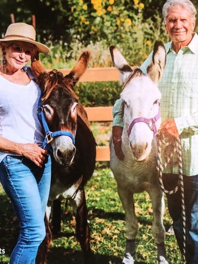 Rancho Burro Donkey Sanctuary - Home