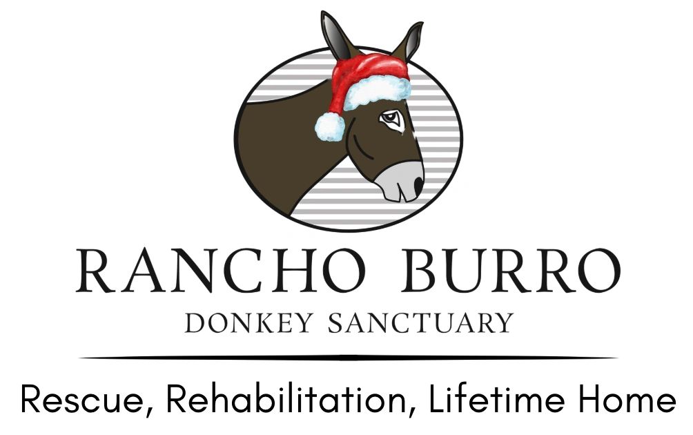 Rancho Burro Wish List