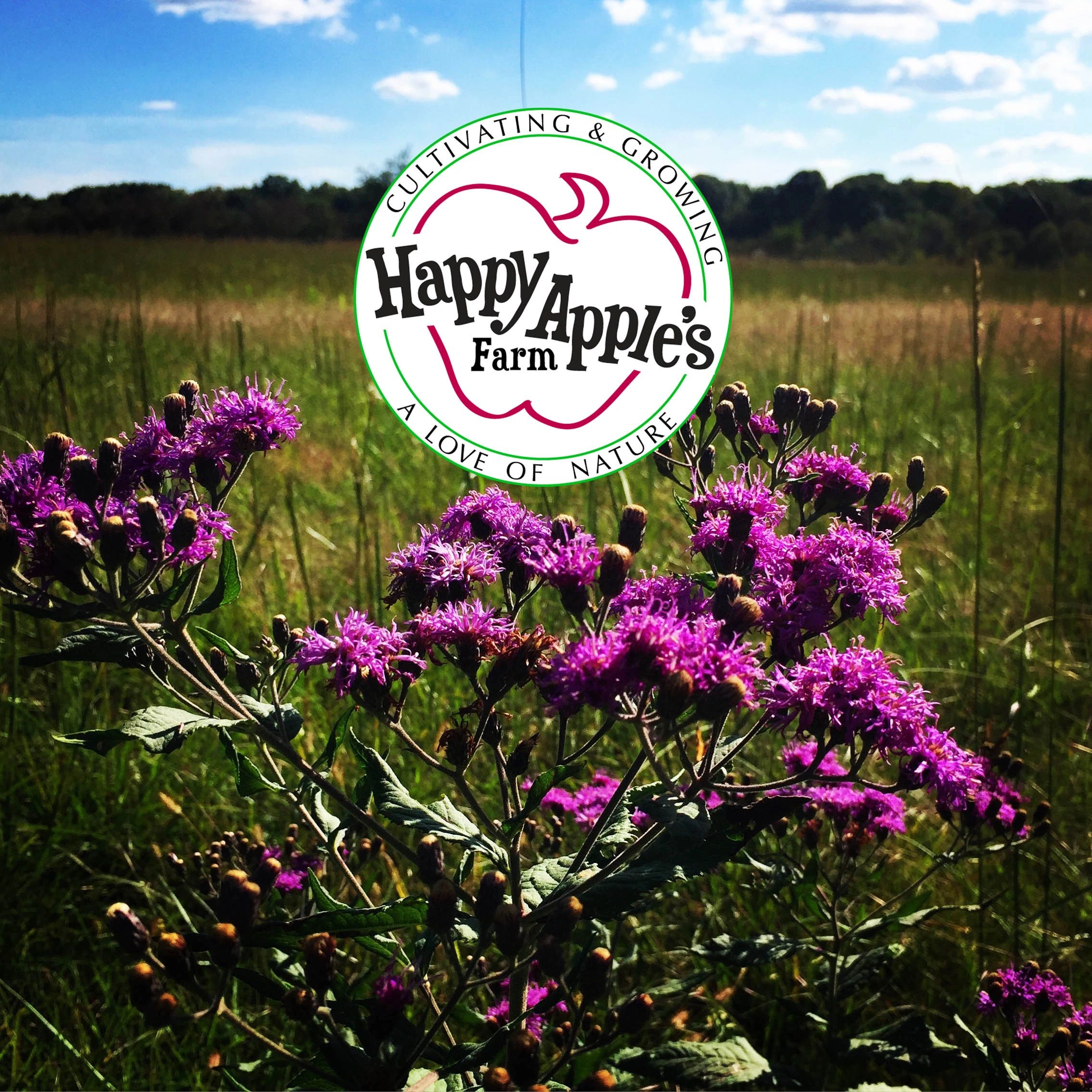 Native Plants - Happy Apple's Farm