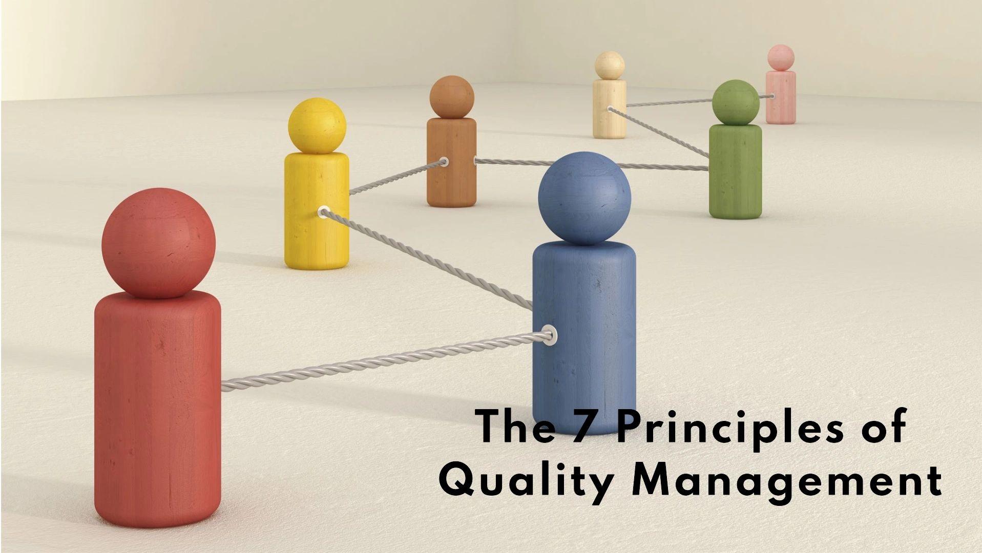 The Seven Principles of Quality Management!