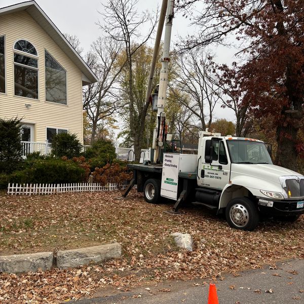 Expert Residential Tree Service for Your Home