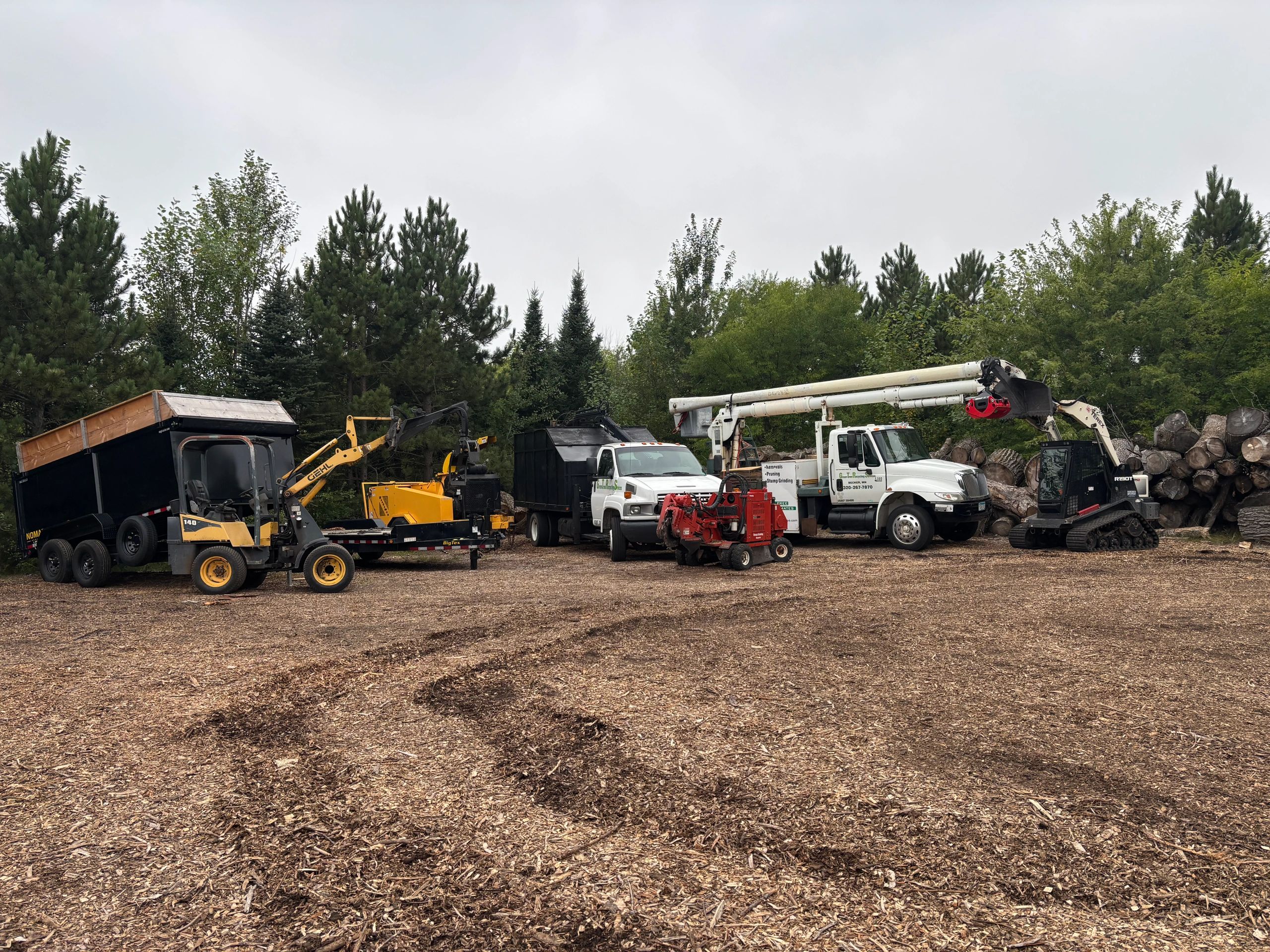 Your local tree experts|Removals|MN