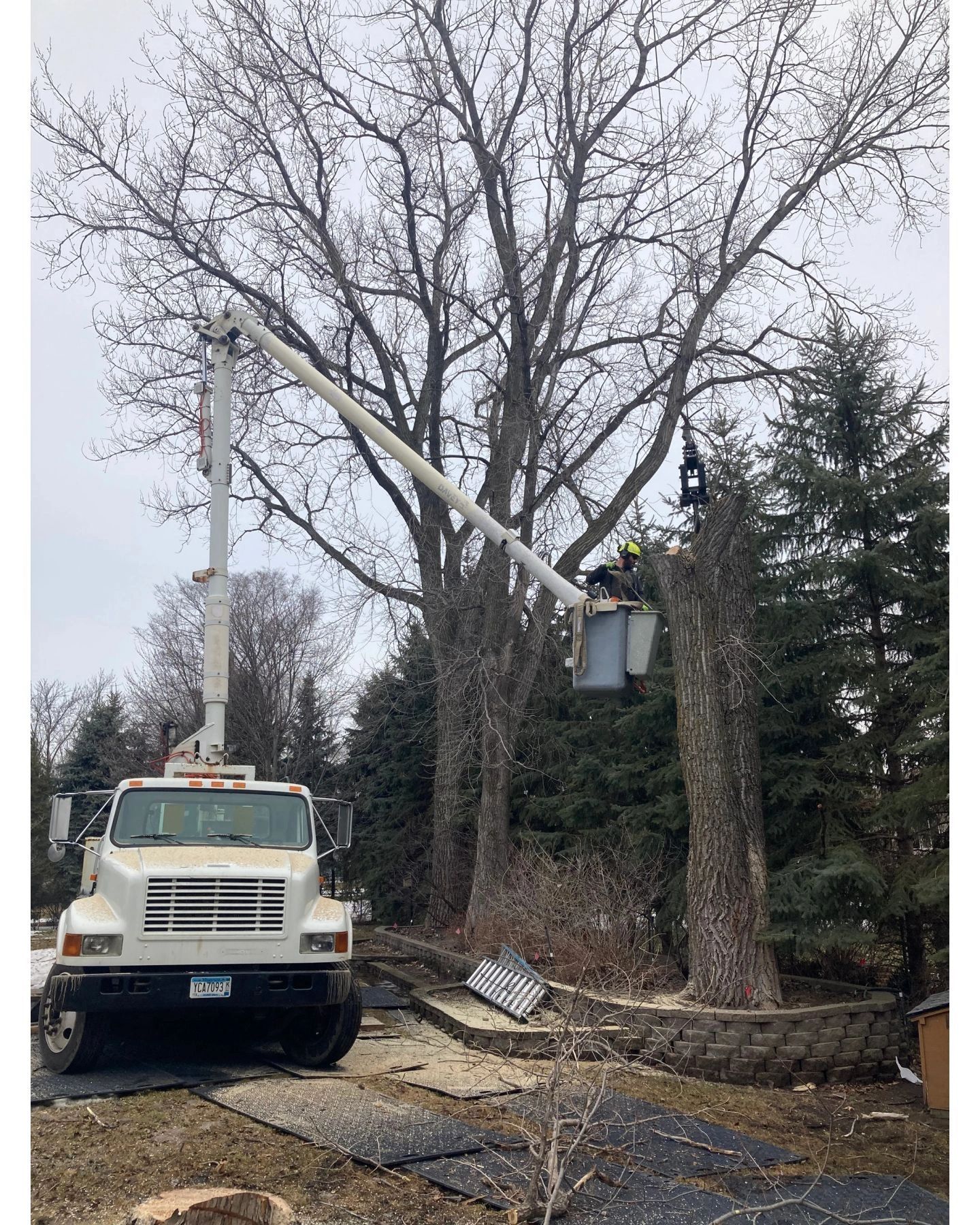 Tree Removal Services - Green Tree Recycling Services