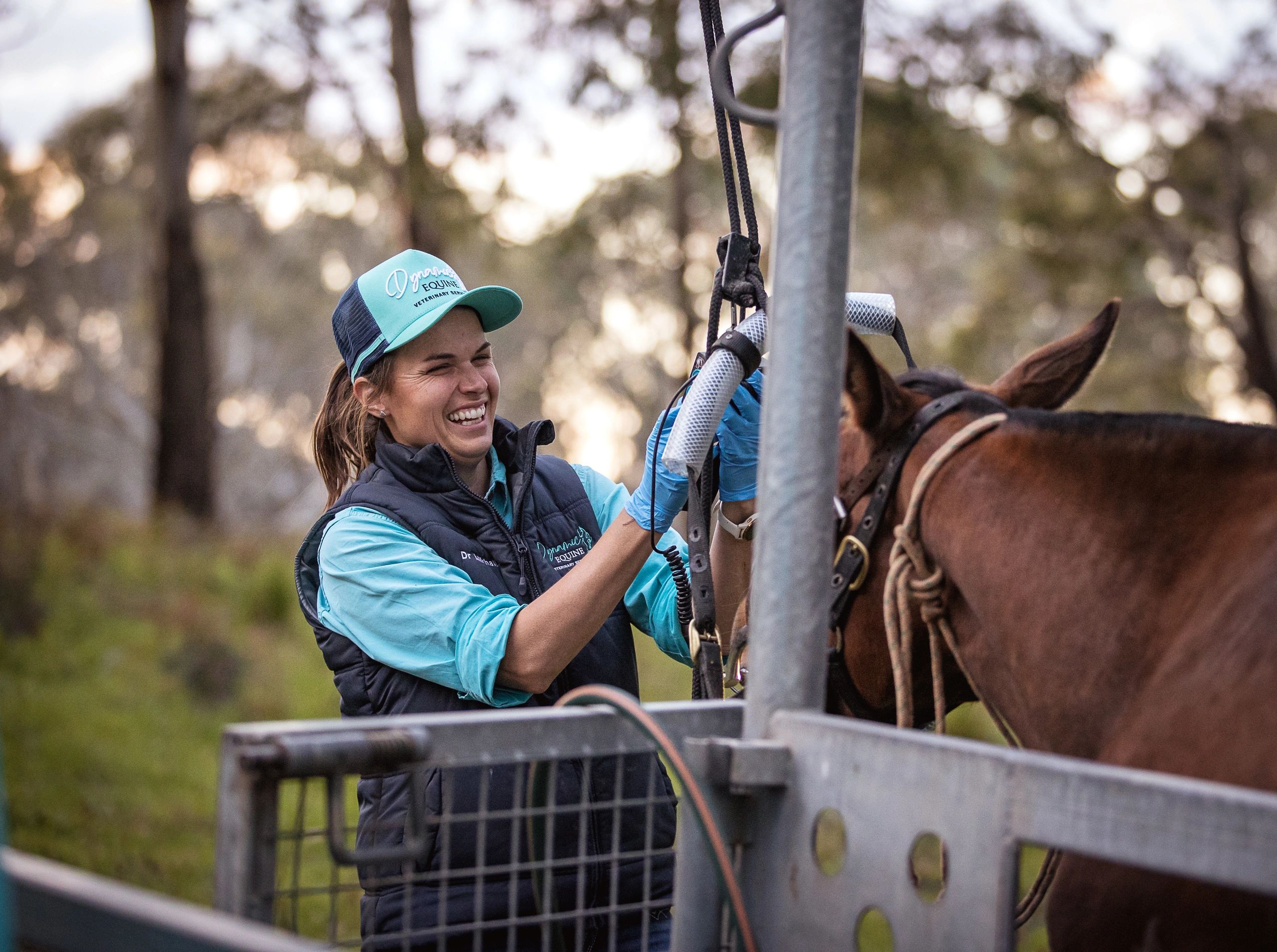 Dynamic Equine Veterinary Services