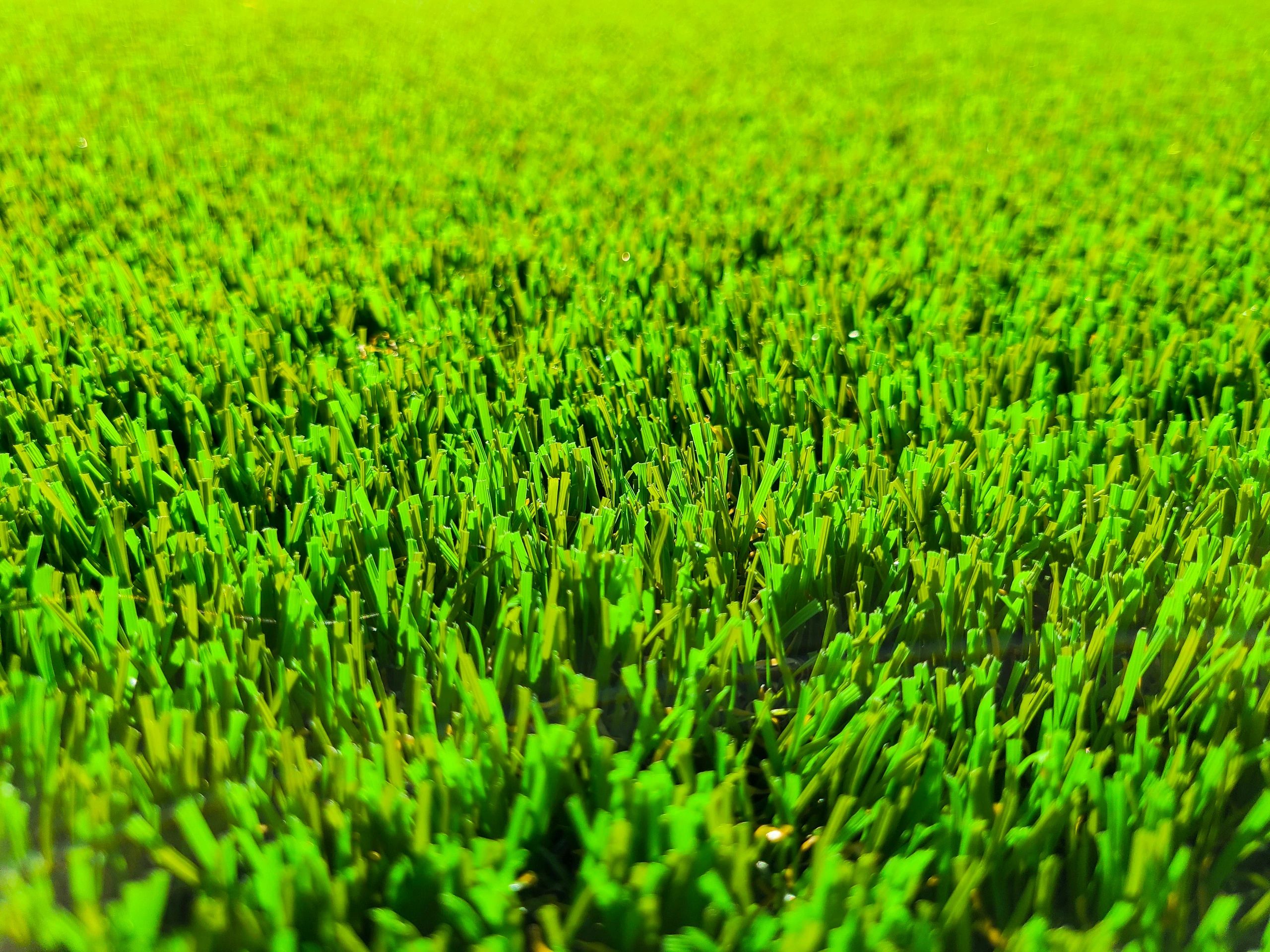 Synthetic Turf Solutions - Turf - Bothell, Washington