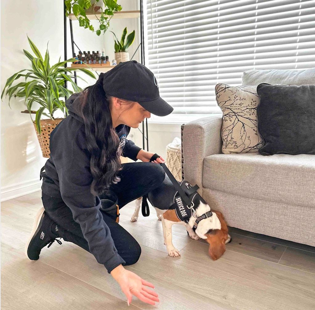 Mold Hound - Mold Dog, Seattle Mold Dog, Mold Dog, Mold Inspections