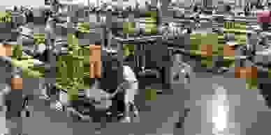 The M151 M151A1 M151A2 G838 Series of 1/4 ton Vehicles