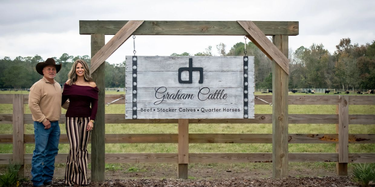 Graham Cattle - Beef, Cattle, Cutting Horses