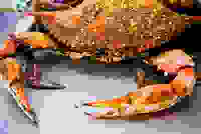 Best Crabs Ocean City Maryland - Crabs, Crab Cakes