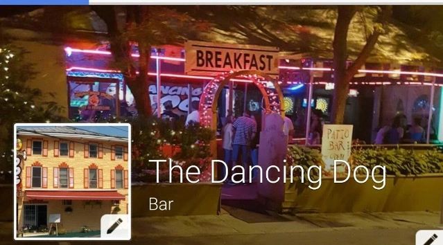Dancing Dog Bar