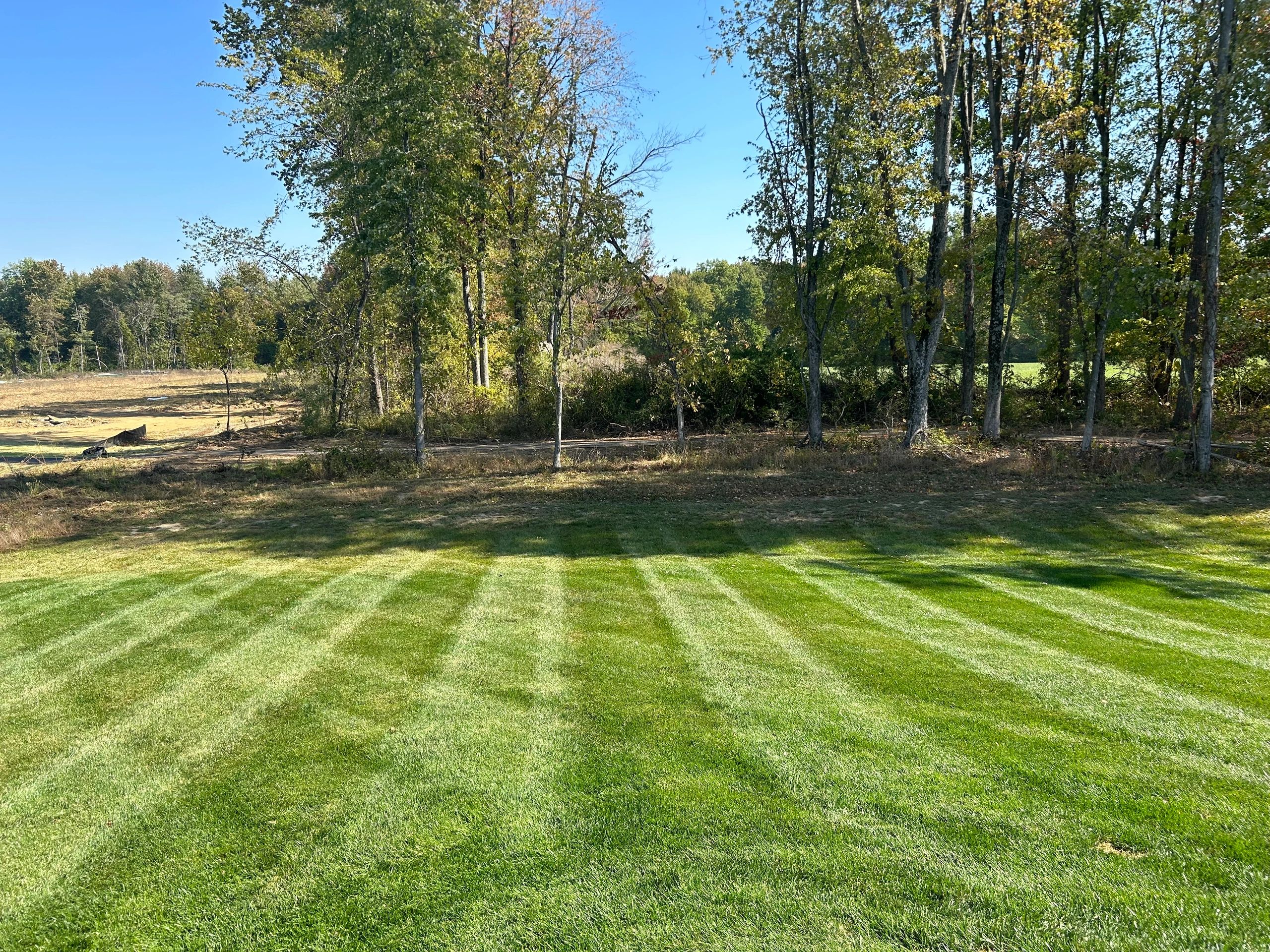 Quality Lawn Care Services