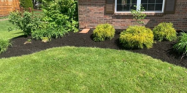 Quality Lawn Care Services