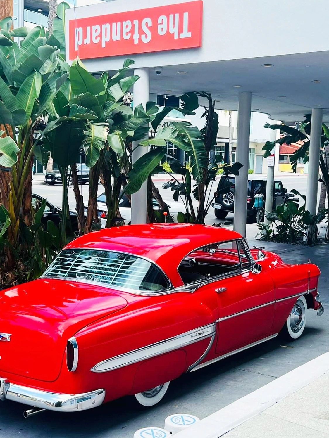 High-Quality Venetian Blinds for Cars