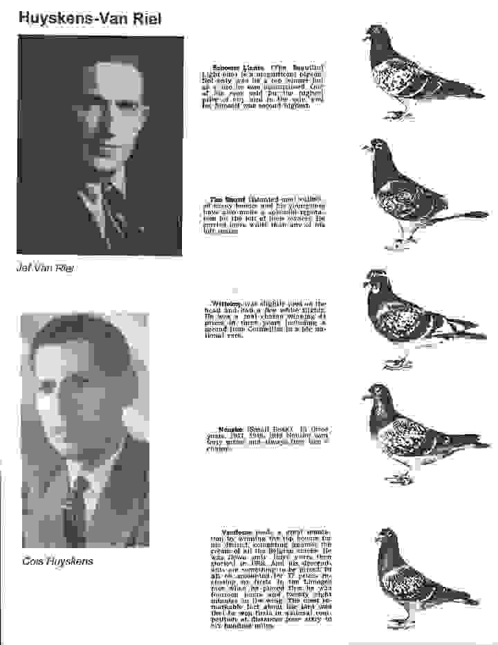 Huyskens Van Riel Racing Pigeons - Super Sport Loft | Super Sport Loft