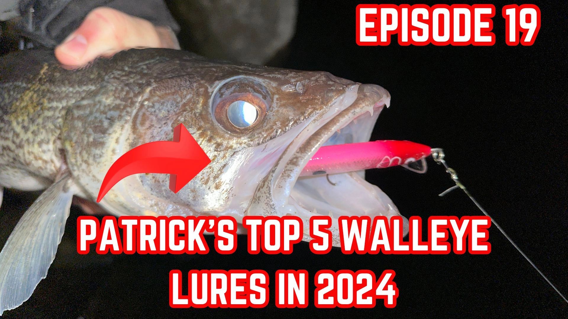 Episode 19: Top 5 Walleye Lures of 2024