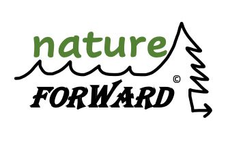 Nature Forward - Environmental Blog