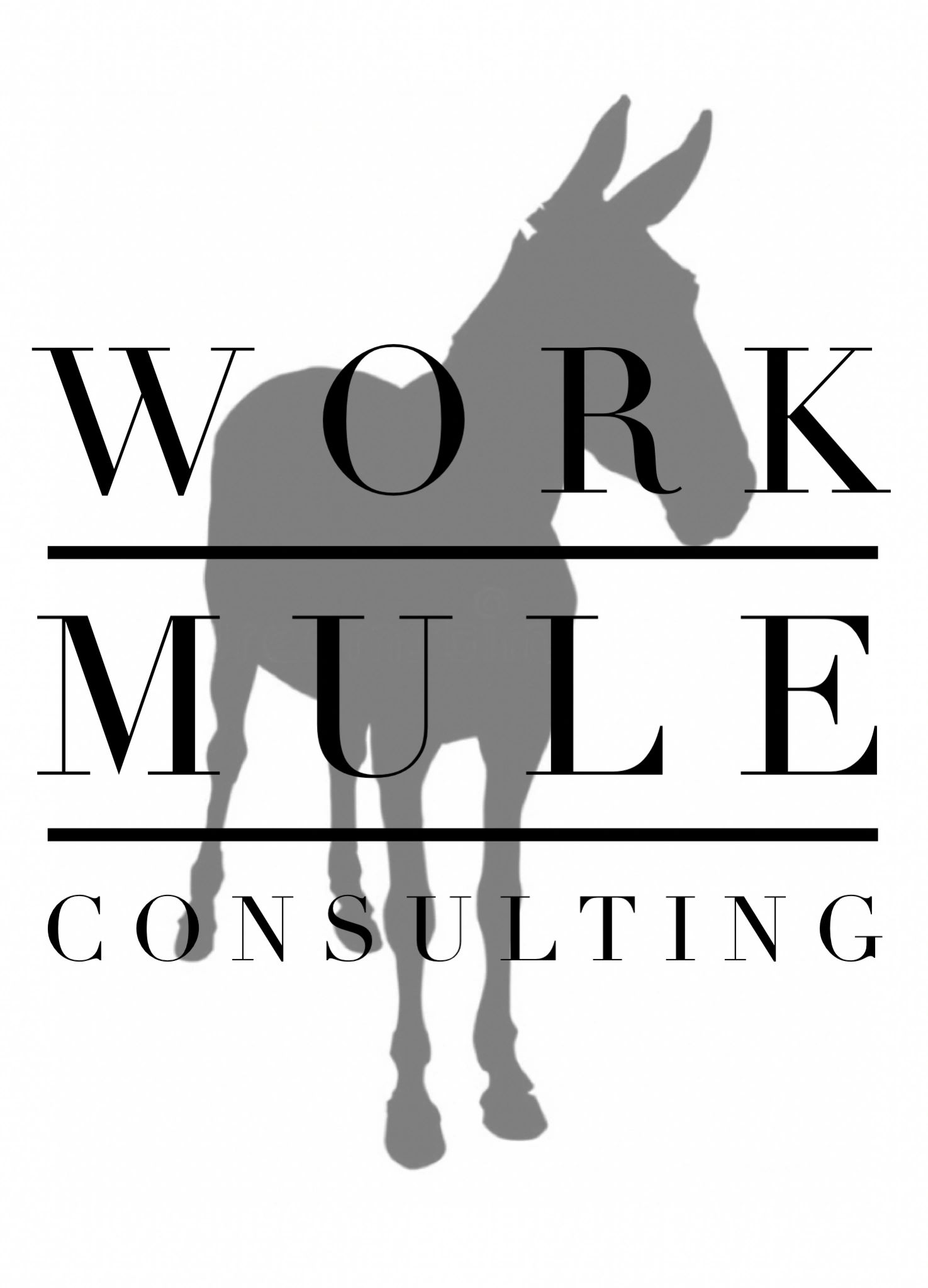WORK MULE CONSULTING