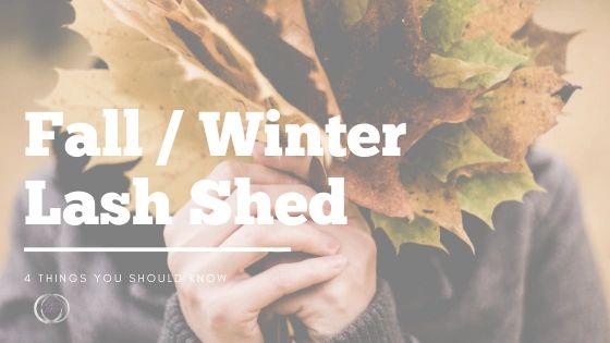 Fall / Winter Lash Shed