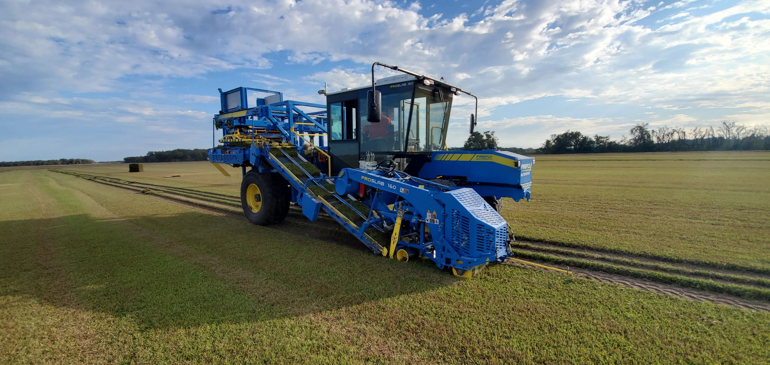 Quality Turfgrass Sod - Wilderness Turf Farm